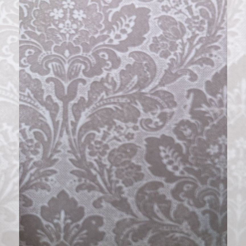 Мейн-кун котёнок