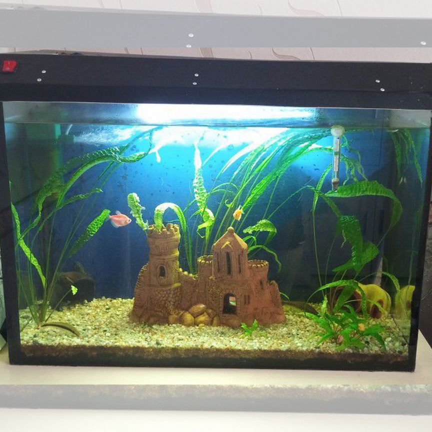 Аквариум 100л