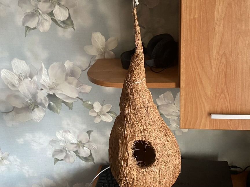 Гнездо для попугаев