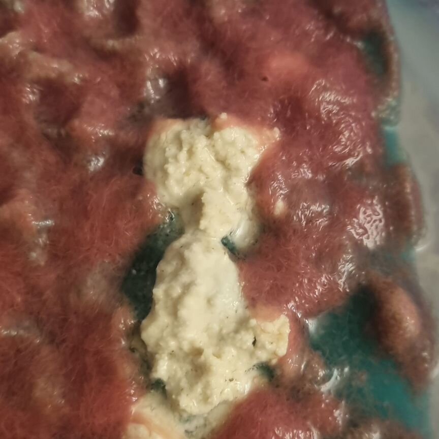 Живой корм для аквариумных рыбок