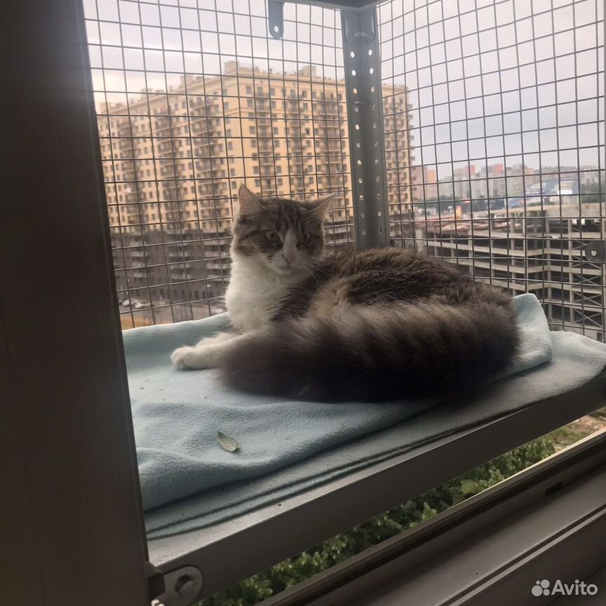 Балконы для животных