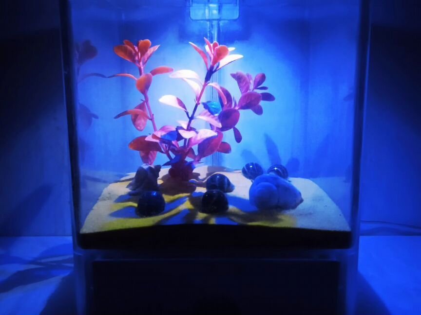 Аквариум 3 л Aqua box Betta 2 с акссесуарами
