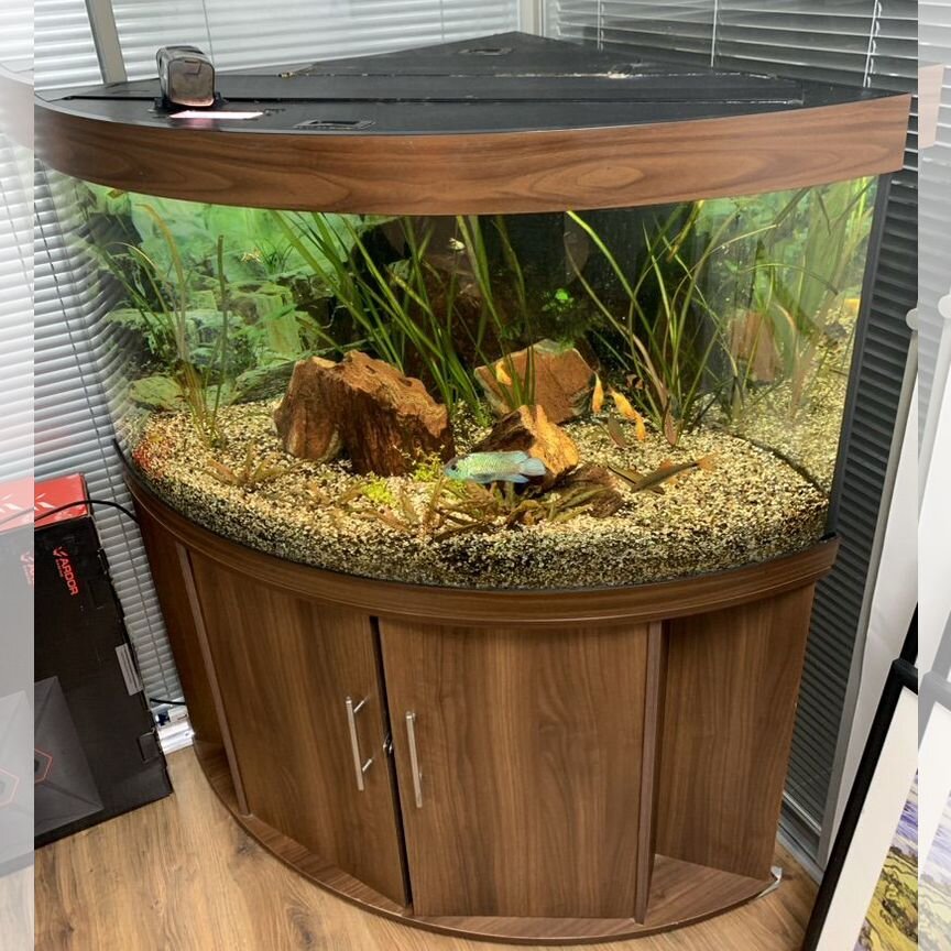 Отдам аквариум