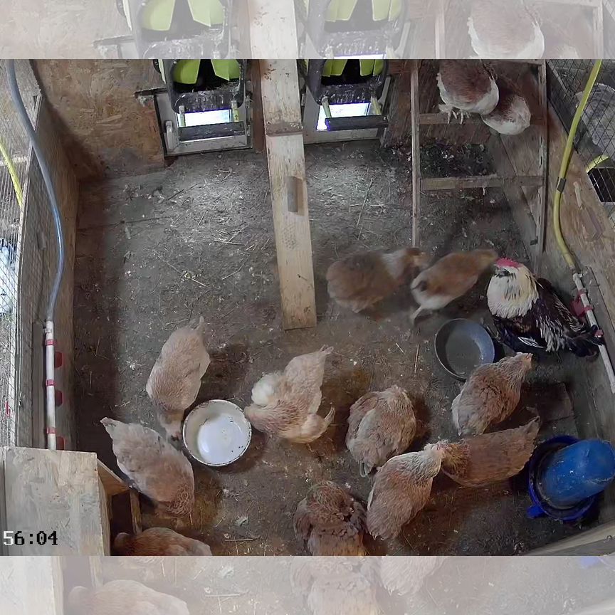 Фавероль 3 1 9 мес