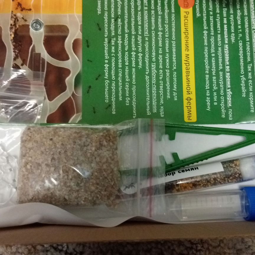 Муравьиная ферма без муравьев