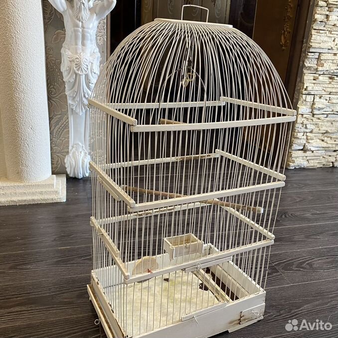 Птичья клетка