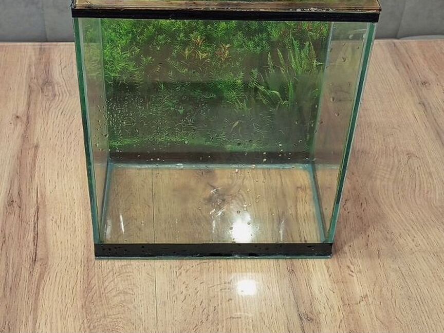 Аквариум и принадлежности