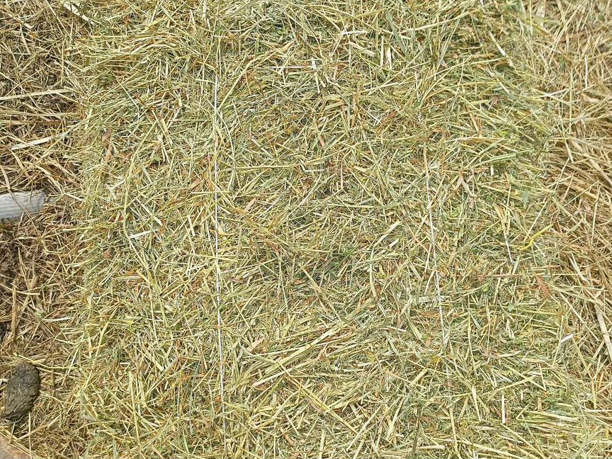 Сено, солома в городе