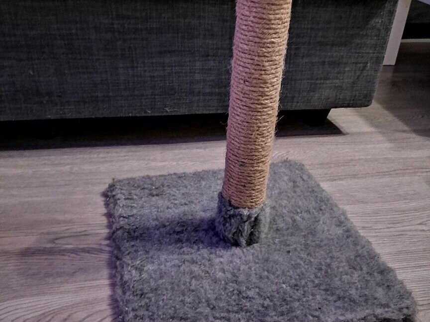 Когтеточка