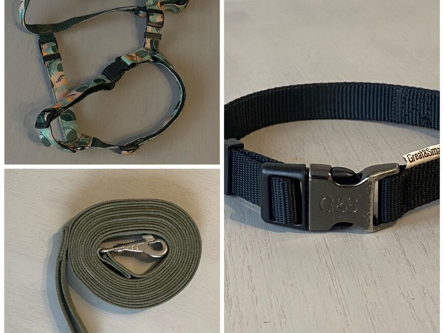 Амуниция для собак