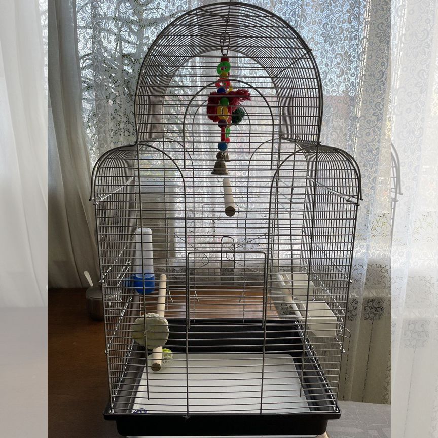 Новая клетка для попугая
