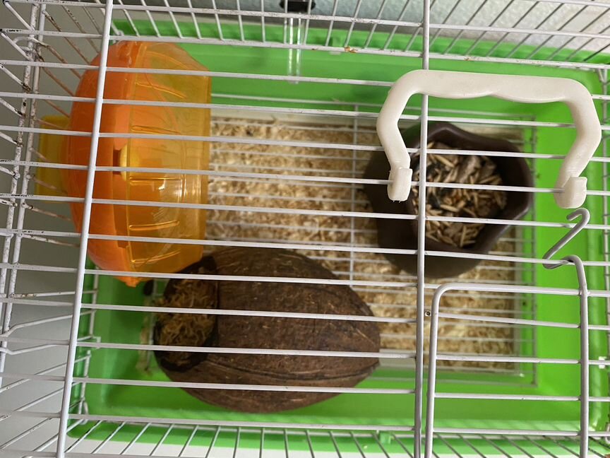 Клетка для грызунов