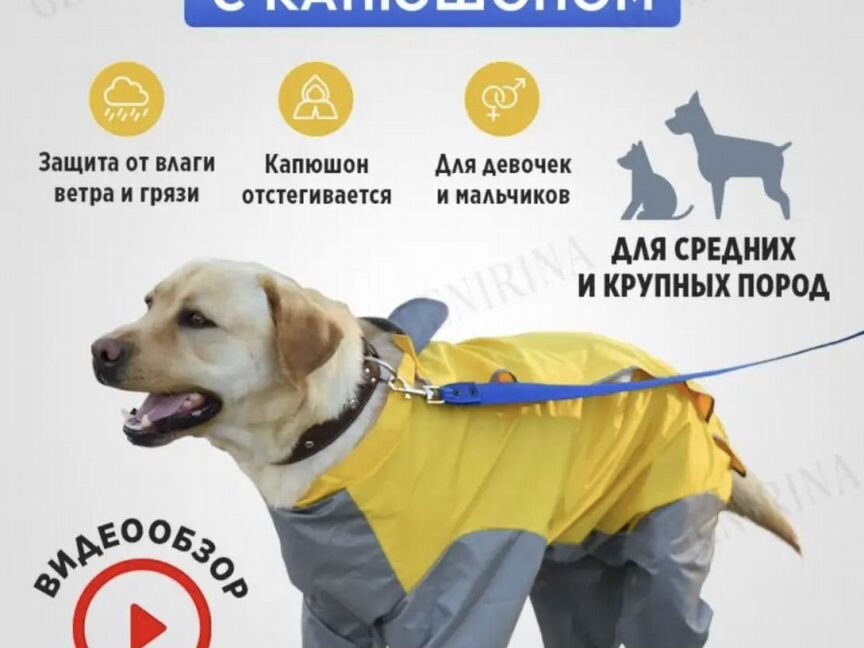Дождевик-куртка для больших собак