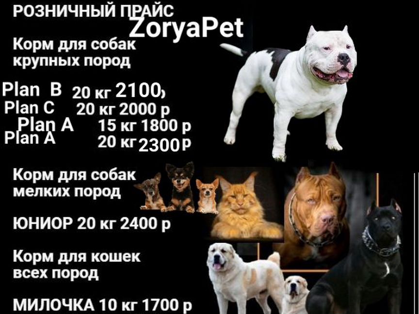 Корм для собак премиум класса