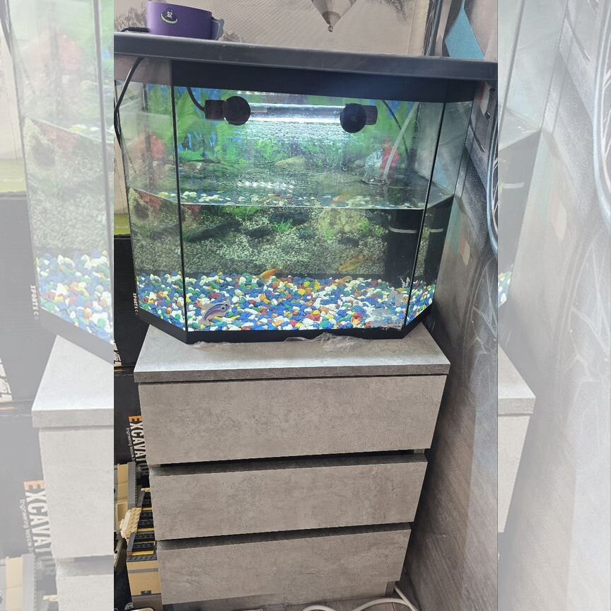 Аквариум 40 литров