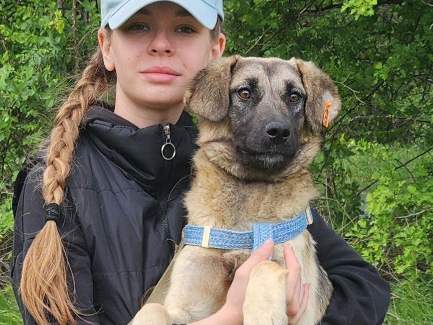 Красавица Прада в поисках дома