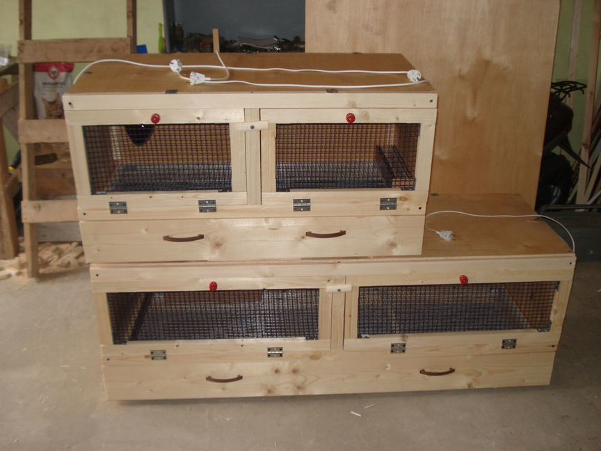 Брудер - клетка для выращивания молодняка птицы