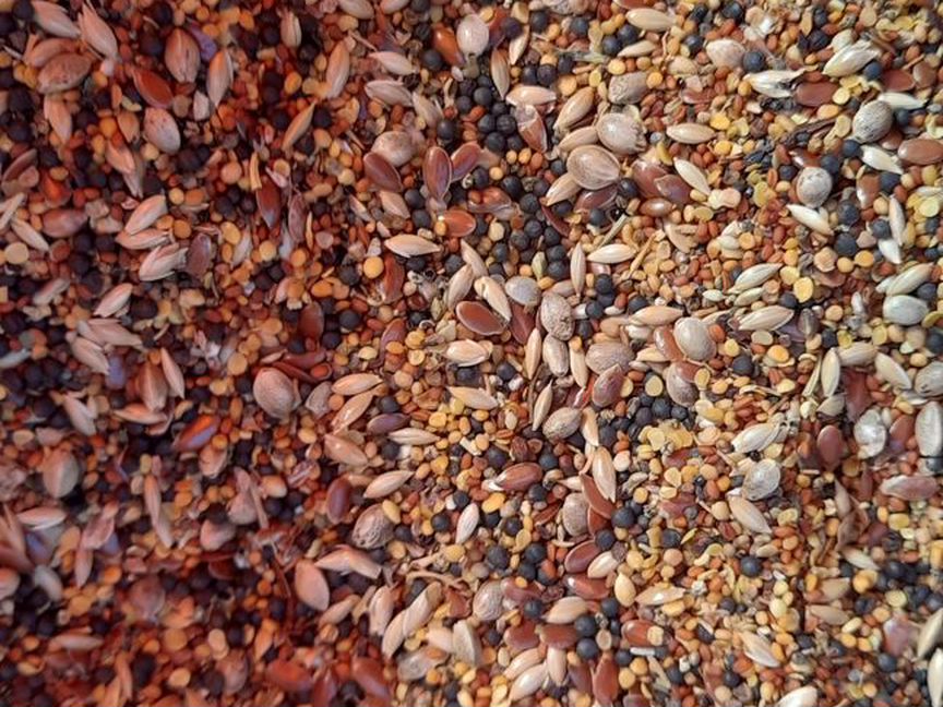 Корм для лесных птиц и канареек