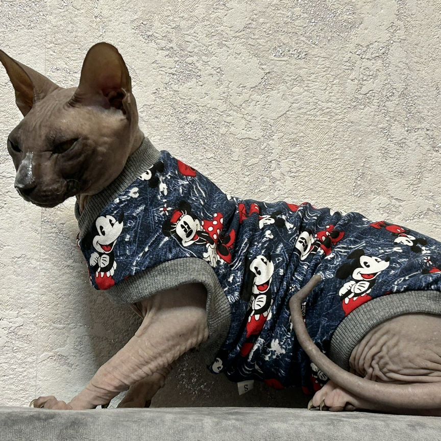 Канадский сфинкс