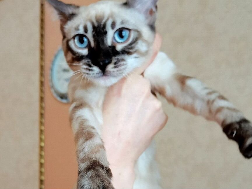 Эффектный снежный мальчик