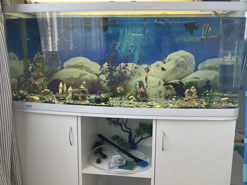 Аквариум с тумбой 280 литров