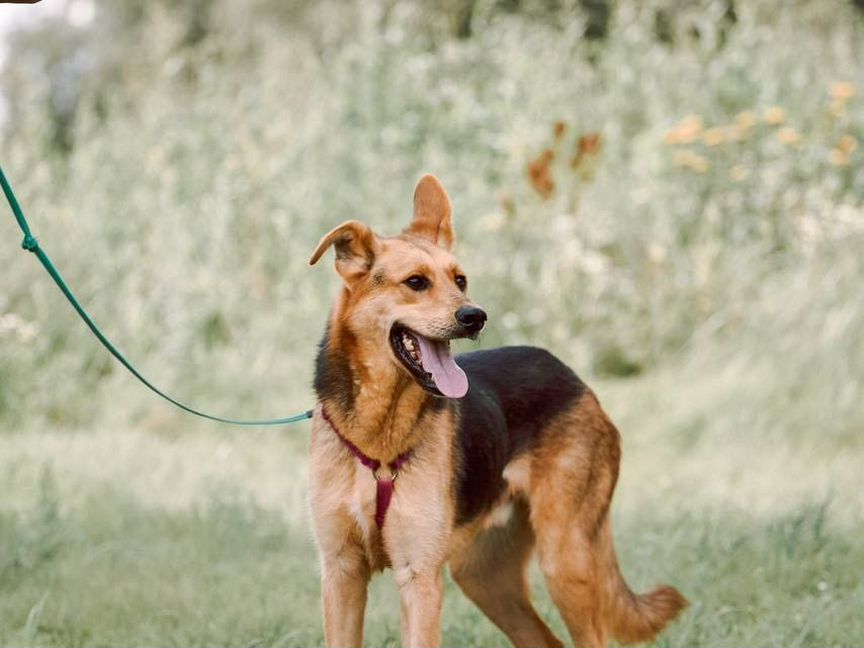 Просто посмотрите он чудо и мечта