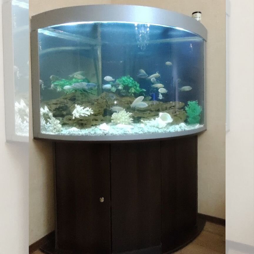 Аквариум с угловой тумбой