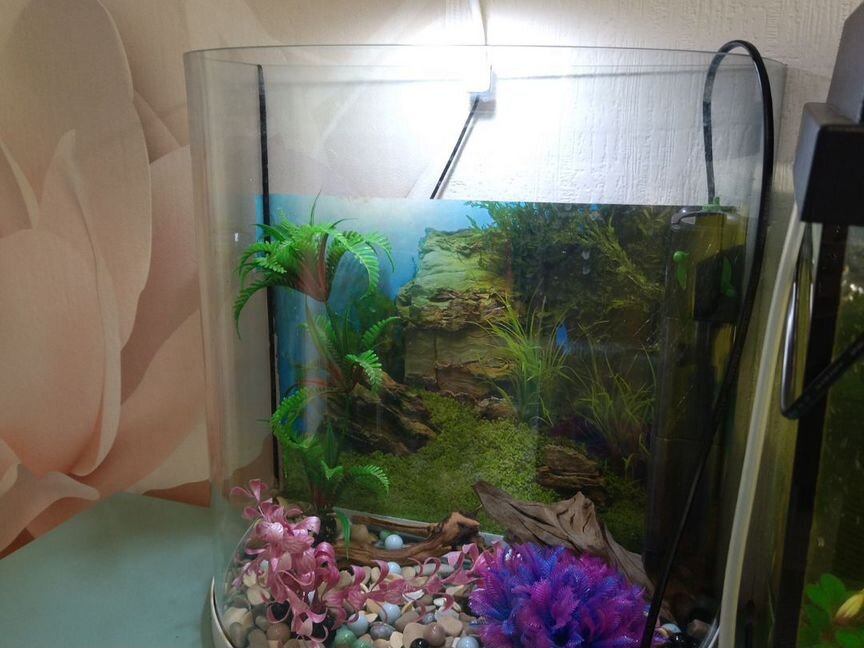 Аквариум Тетра 30 литров с полной комплектацией