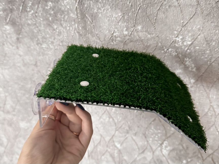 Плот для черепах