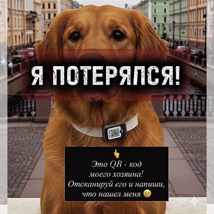 Ошейник с GPS-трекером и QR-кодом для собак