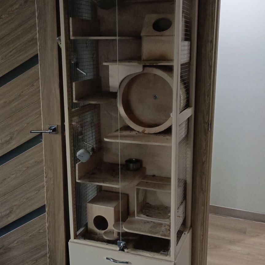 Витрина для шиншилл