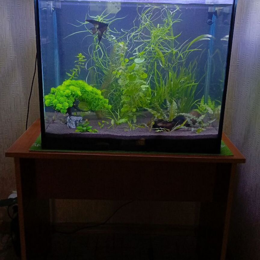 Аквариум с тумбой 100л