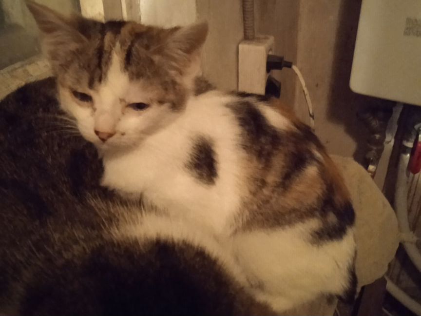 Возьми себе на радость