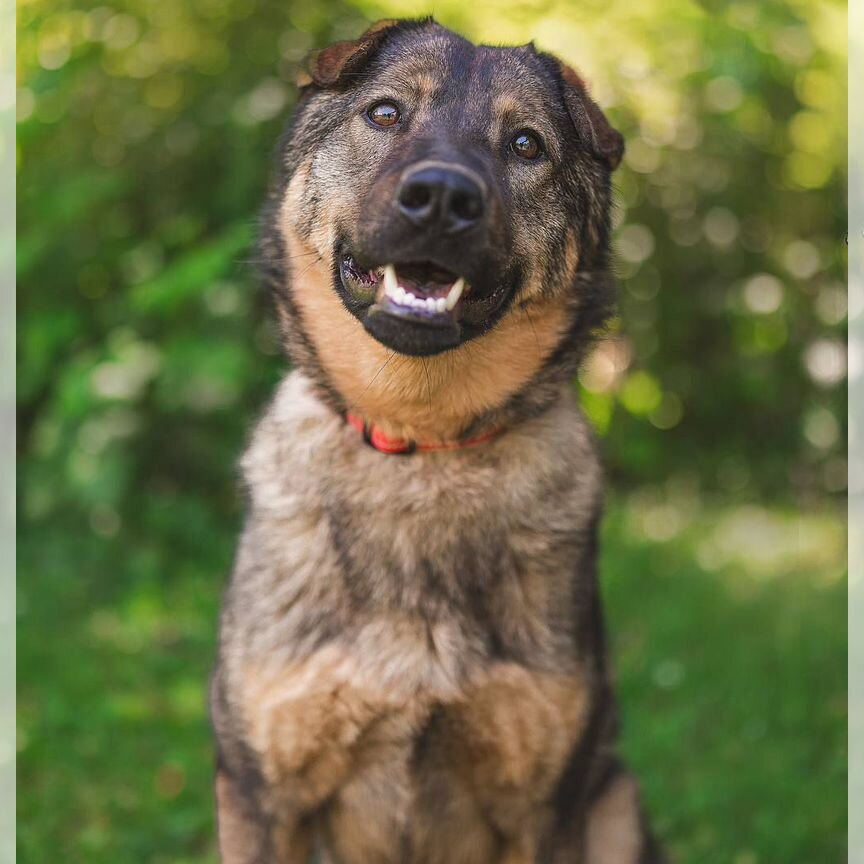 Фото в паспорт на ура