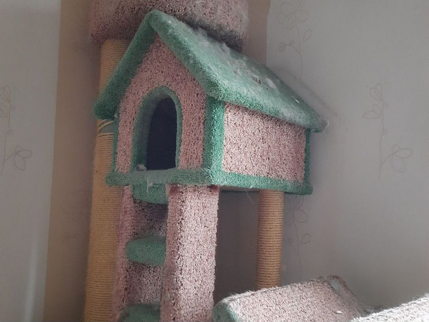 Домик для кошки с когтеточкой бу