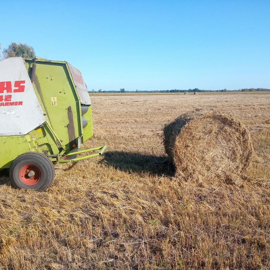 Солома ячменя в рулонах