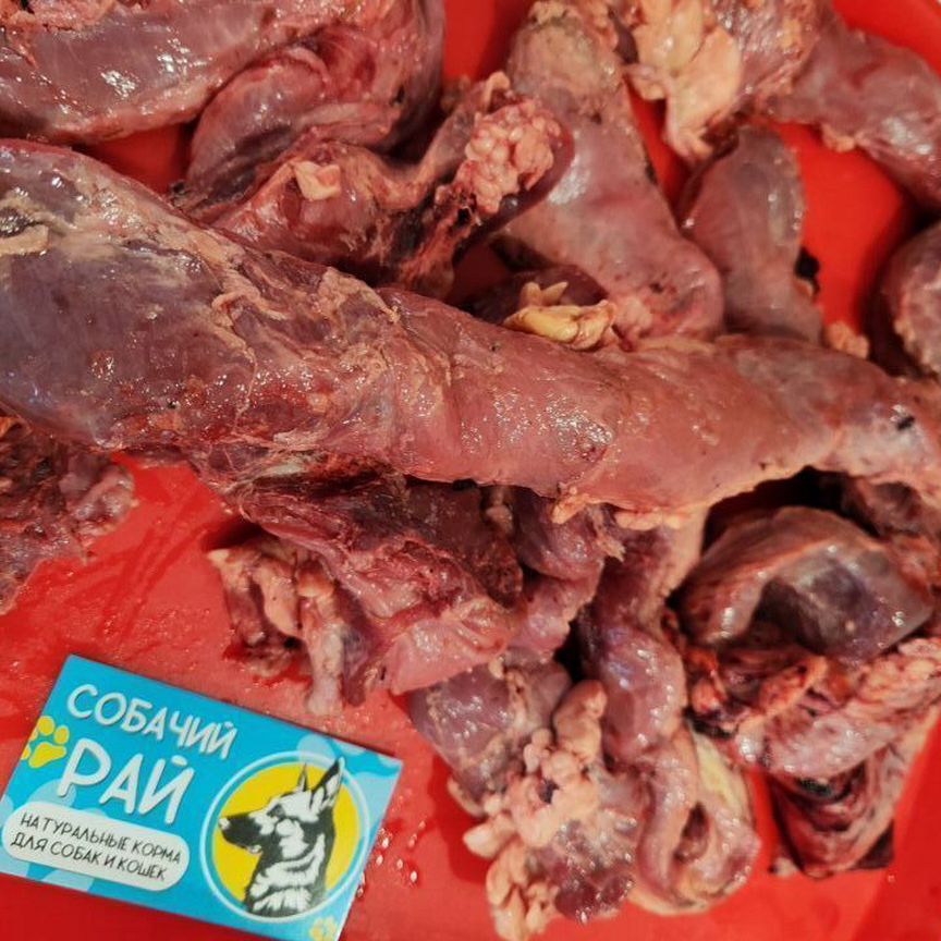 Пищевод говяжий для собак