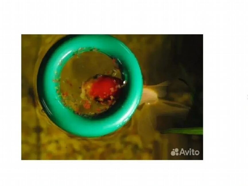 Пластиковая кормушка в аквариум СССР