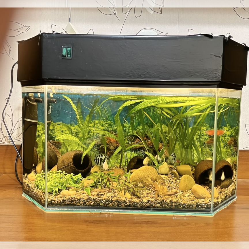 Аквариум 60л трапеция
