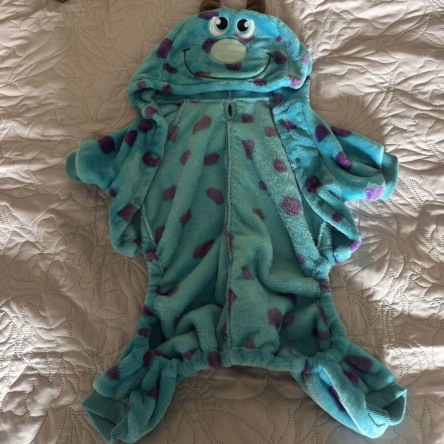 Костюм для собаки