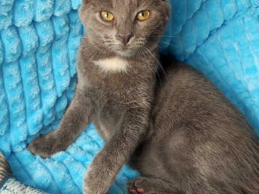 Мальчишка Красавец