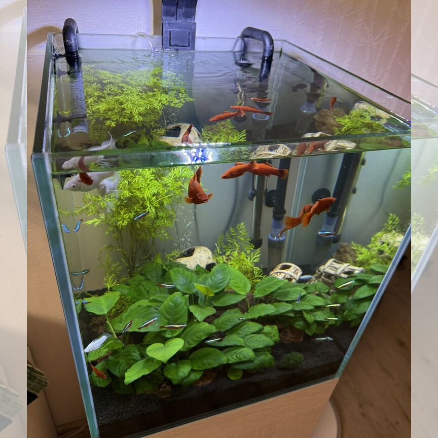 Аквариум с тумбой 80л