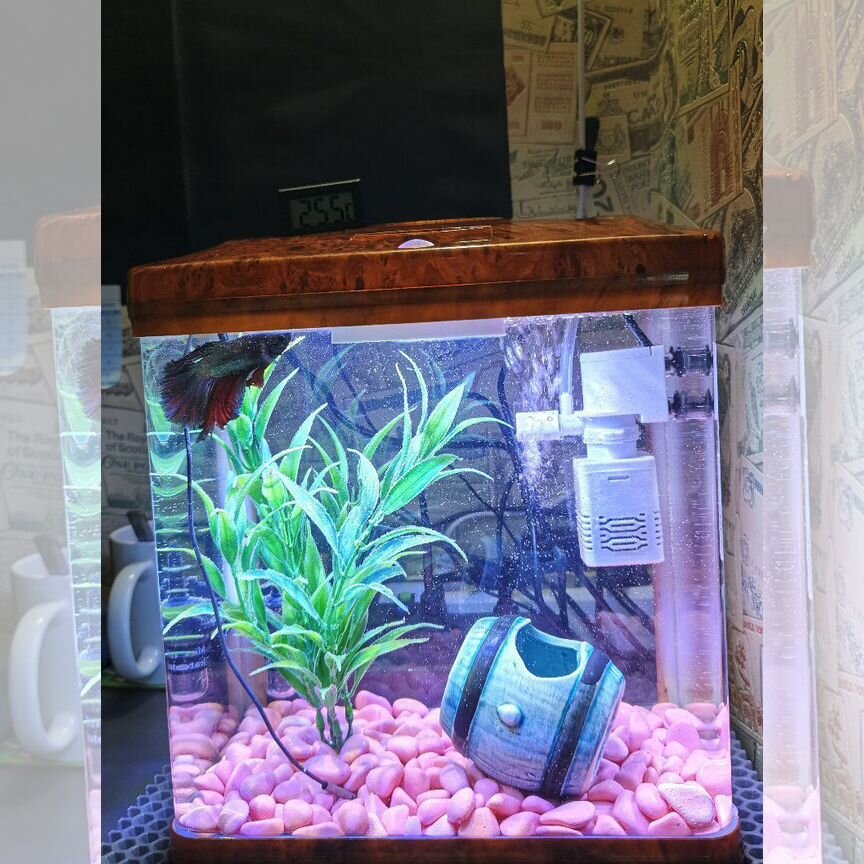 Аквариум 20 литров