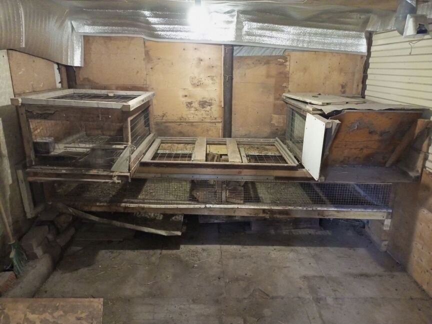 Клетки для кроликов