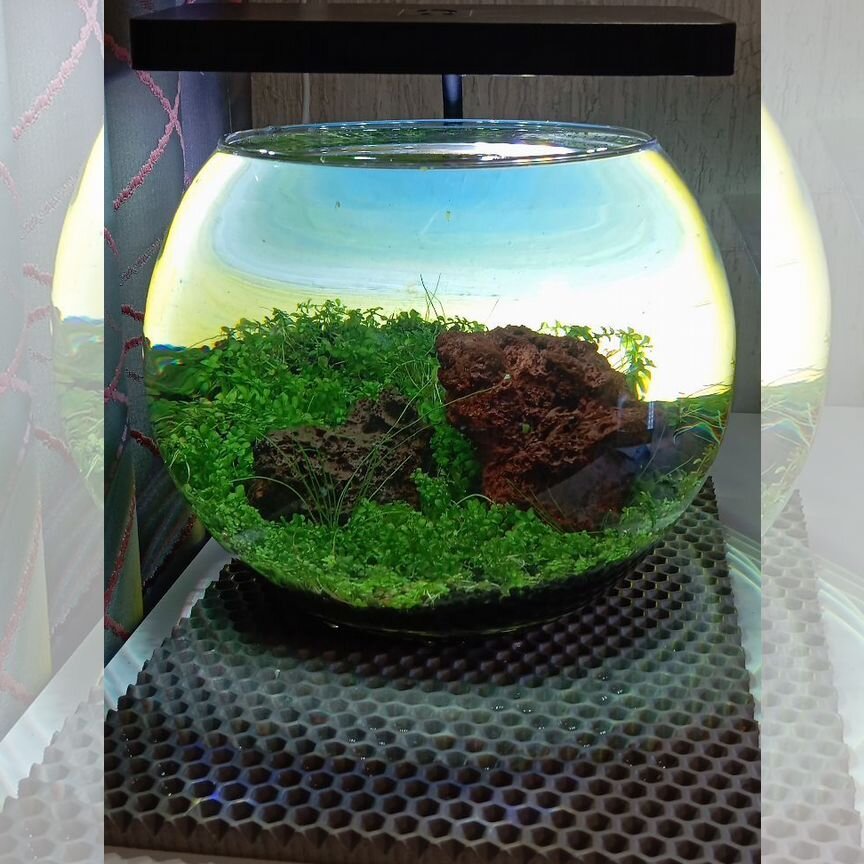 Аквариум готовый, полный комплект подарок