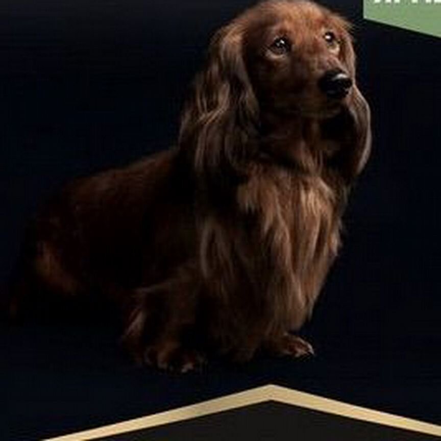 Корм для собак pro plan ягненок 7 кг