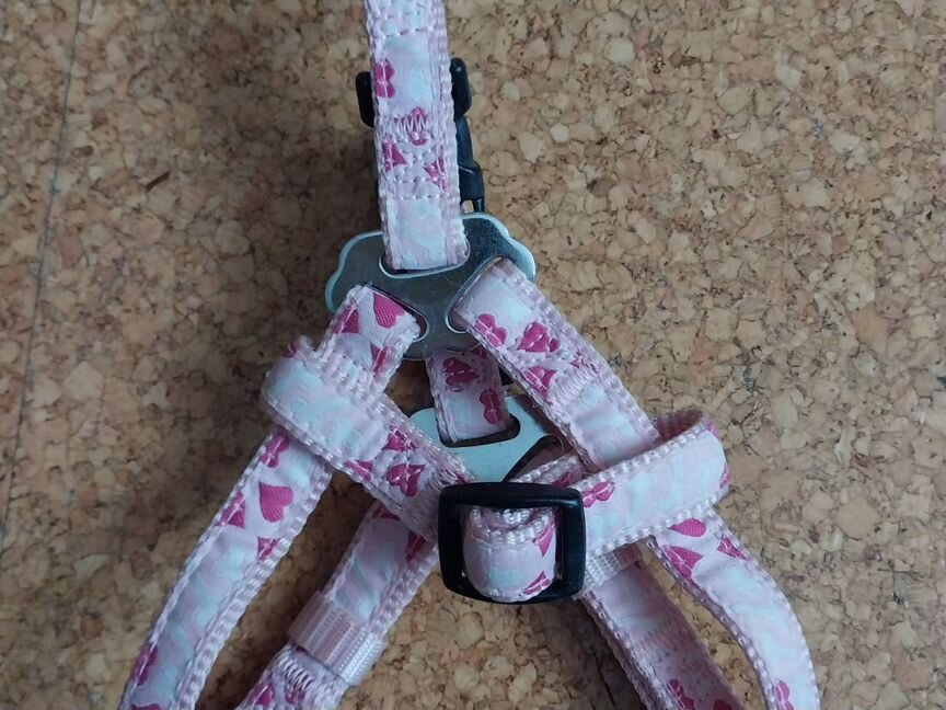 Шлейка и поводок для собак маленькой породы