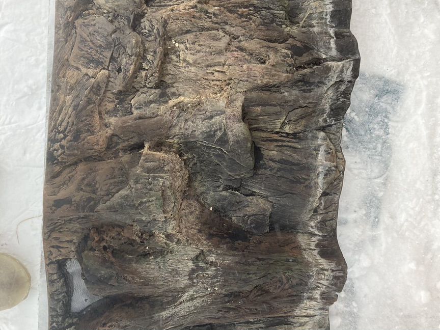 Фон для аквариума