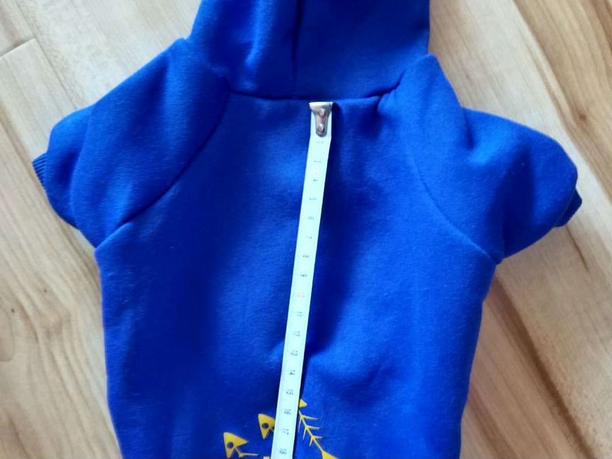 Одежда для кота