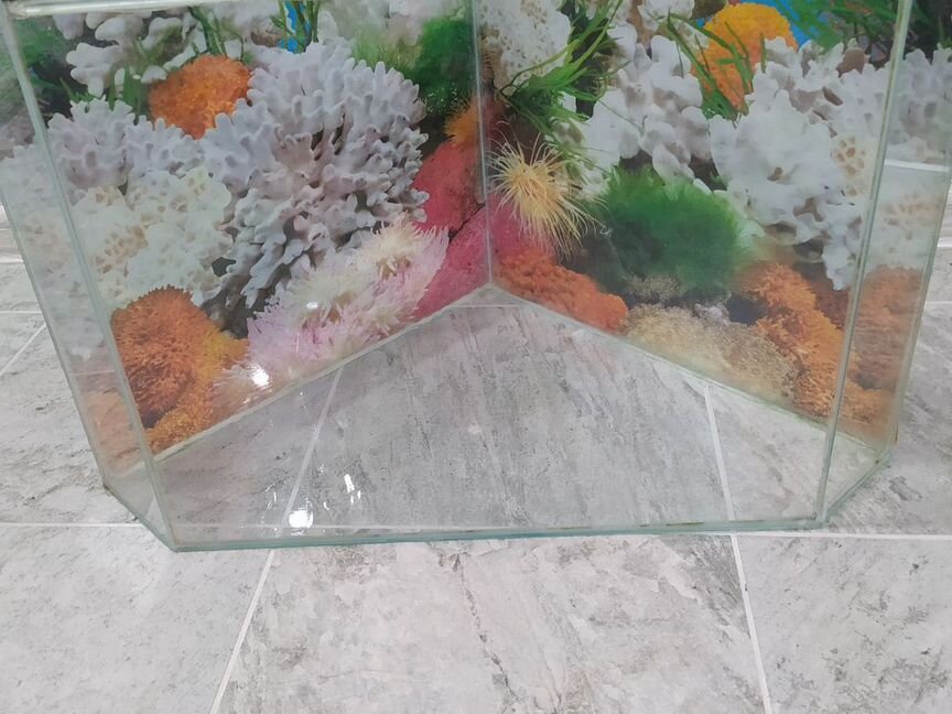 Аквариум